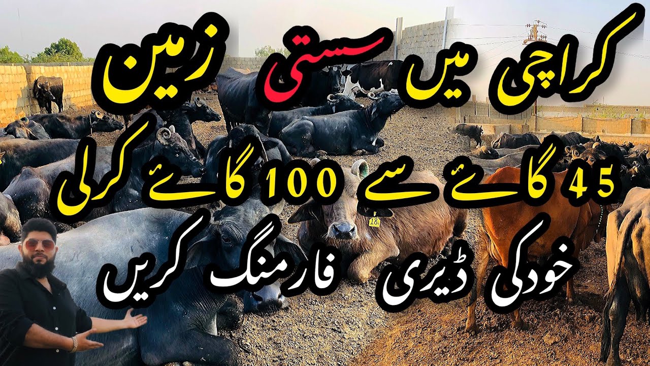 Increase Your Revenue with Karachi Property | Top Gadap Town Karachi ...