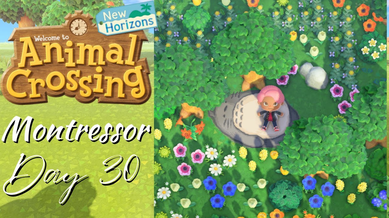 Coco | Dream Address Tour - YouTube