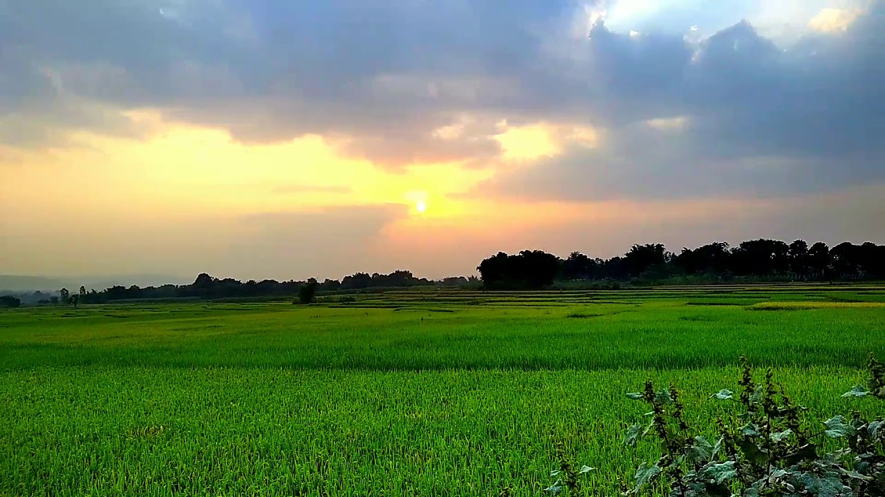 Beautiful nature in evening time - YouTube