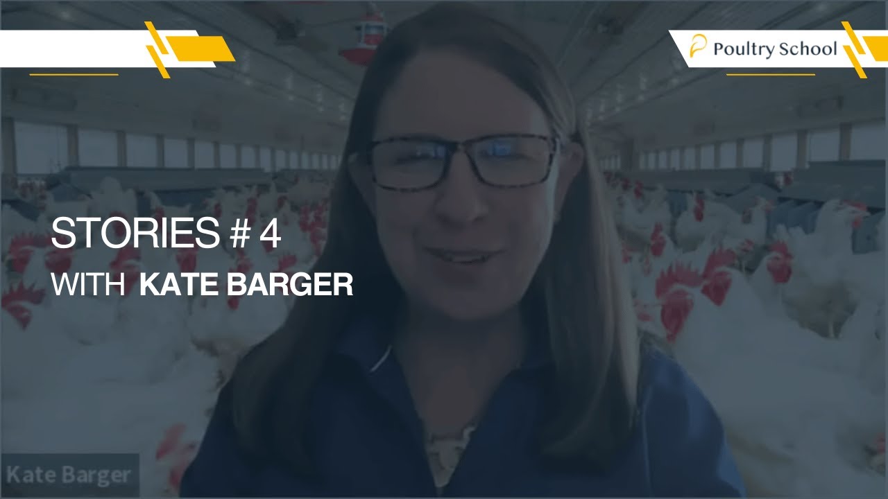 Stories # 4 With Kate Barger - YouTube