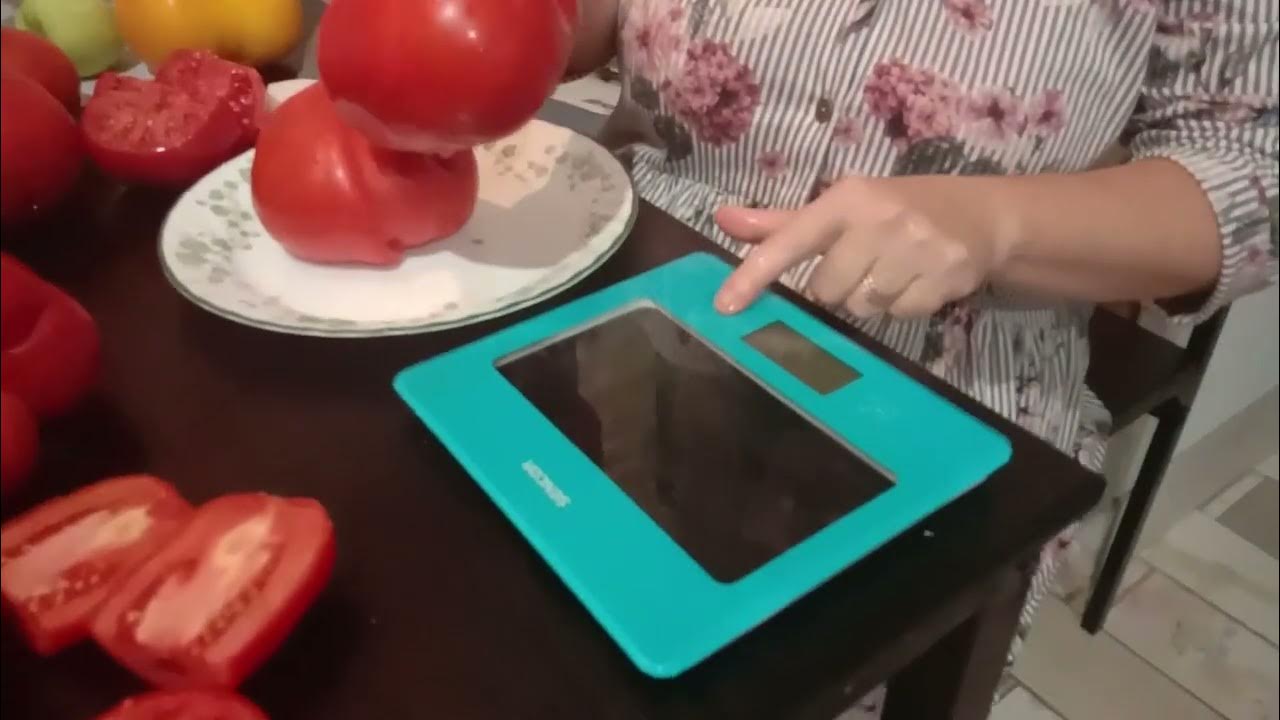 Огромные томаты. Сорт "Большая мамочка" - YouTube