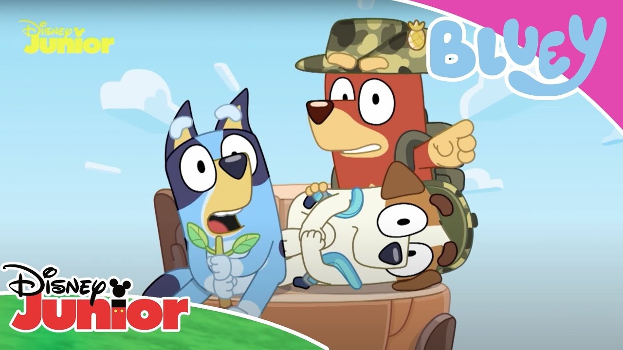 Bluey | Compilação Bluey e os seus amigos - vitrinedossonhos.com.br
