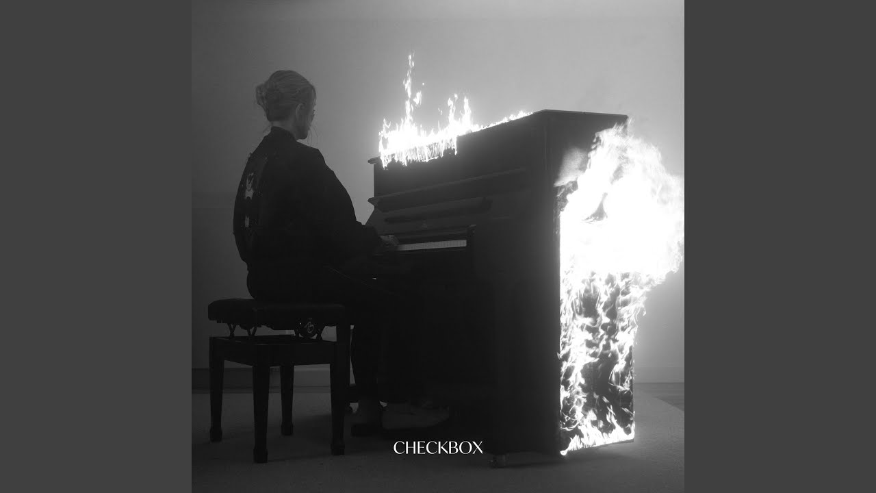 Checkbox Youtube 5872