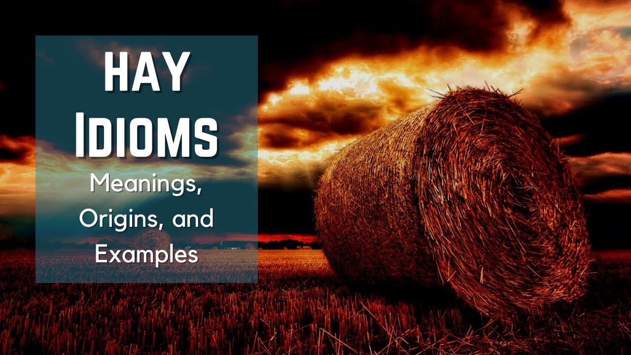 Hay Idioms - Idioms and Phrases with Meanings - Idiom Origins - History ...
