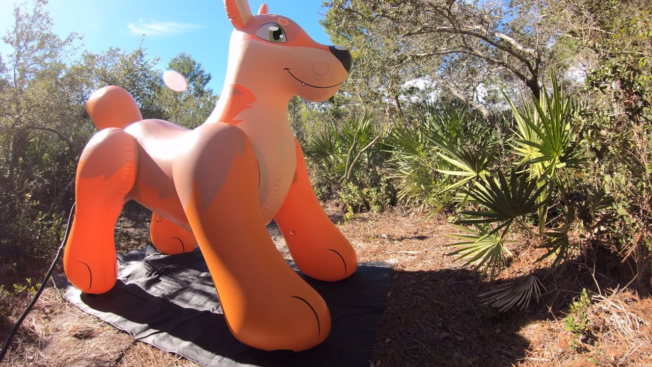 Huge Hunter the Coyote Inflatable from Puffy Paws Toys - YouTube