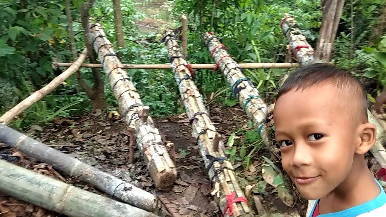 MERIAM BAMBU,TEMPAT MENYALAKAN MERIAM JAMBE YANG JAUH DARI PEMUKIMAN ...