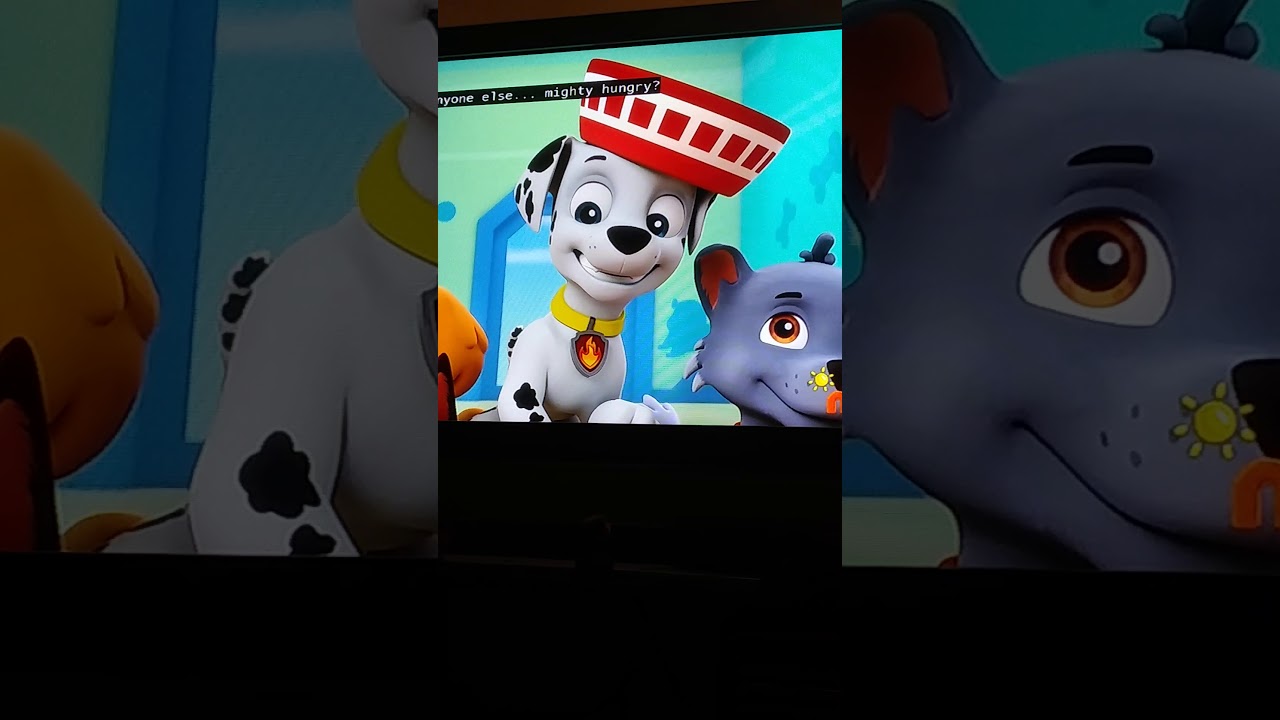 Paw patrol funny moment Marshall - YouTube