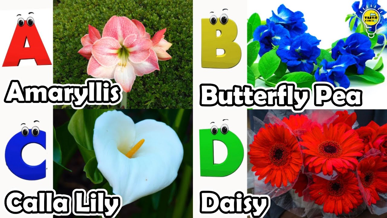 Flowers Alphabet Song | Flowers ABC Song | A to Z Flowers Names ...