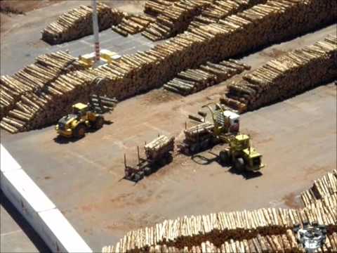 Logging trucks working at the Port of Napier New Zealand 28/01/2012 ...