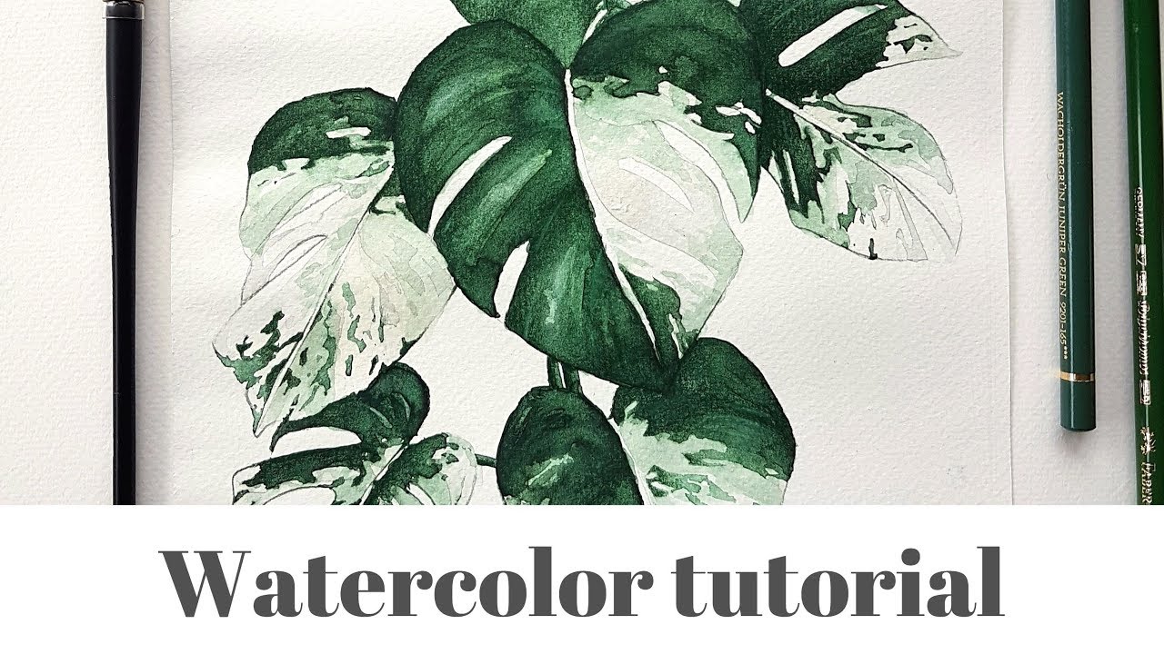 How to paint with watercolors || botanical art - YouTube