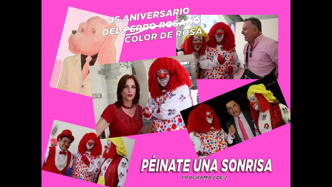 PEINATE UNA SONRISA EN EL 45 ANIVERSARIO DE ROMEL - YouTube
