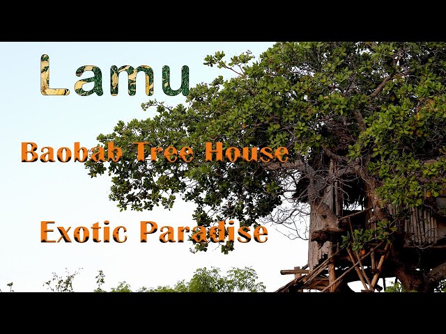 Baobab House