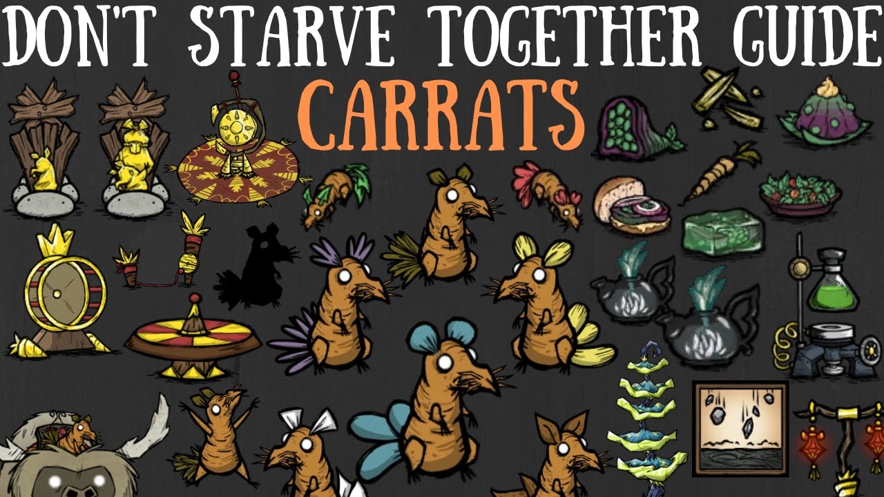 Don't Starve Together Guide: Carrats - Colors, Farms & More - YouTube