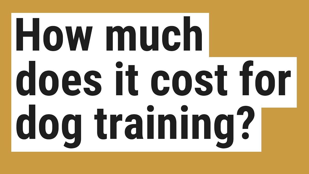 How Much Does It cost For Dog Training YouTube how-much-does-it-cost-for-dog-training-youtube