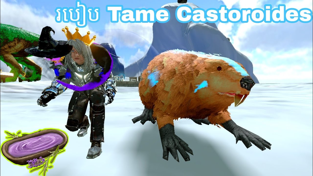 របៀបTame Castoroides / Taming Castoroides Ark Mobile - YouTube