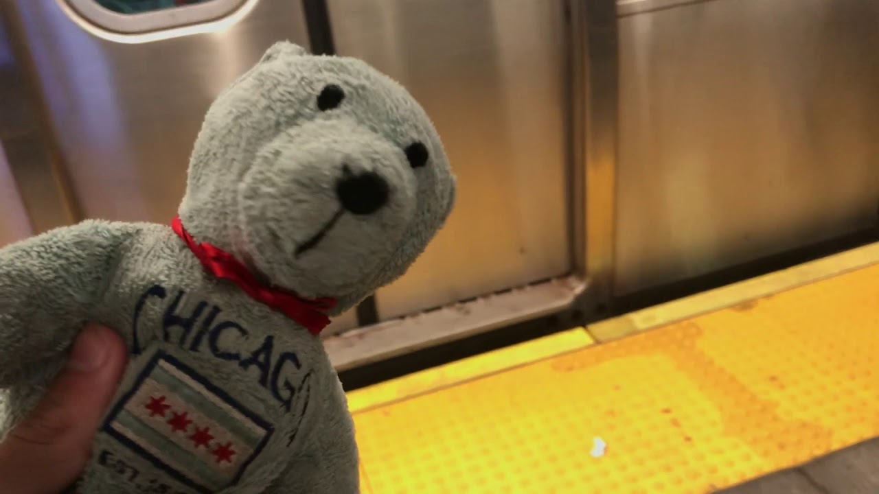 The Adventures Of Chicago The Bear Movie The Next Chapter HD Trailer 1 ...