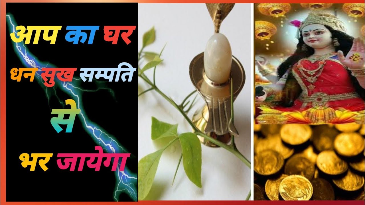 Bael Patra Plant 2022|बेलपत्र का पौधा| बिली पत्ता| bael Patra| - YouTube