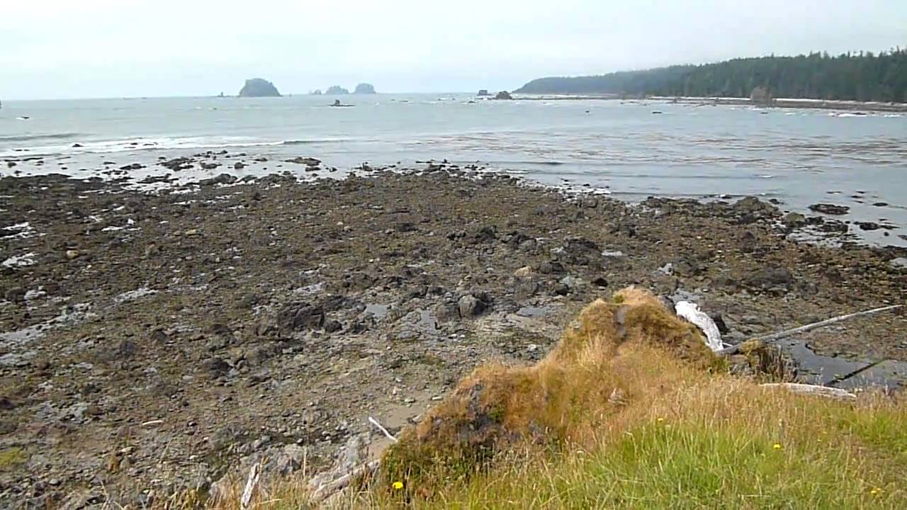 Ozette Triangle: Cape Alava - Sand Point Loop - YouTube