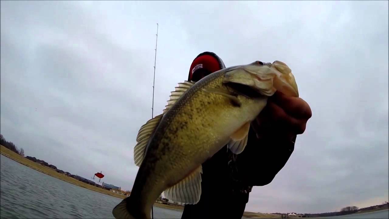 GoPro Cold Front Bass Fishing with Lipless Cranks (Pro Ripper) - YouTube