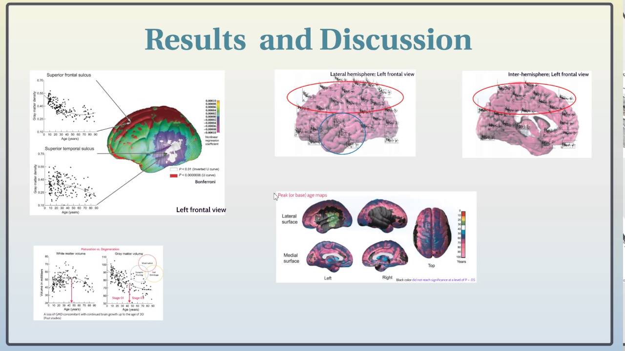 Presentation_Mapping Cortical change across the human life span - YouTube