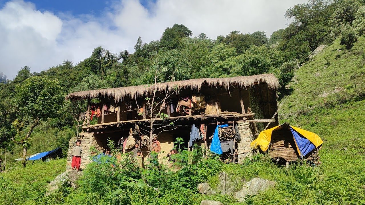 Poor But Happy Shepard's people life| Survivable life of Shepherd ...