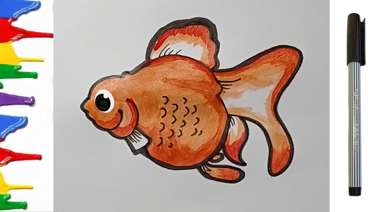Cara Menggambar dan Mewarnai Ikan - HOW TO DRAW GOLD FISH. STEP BY STEP ...