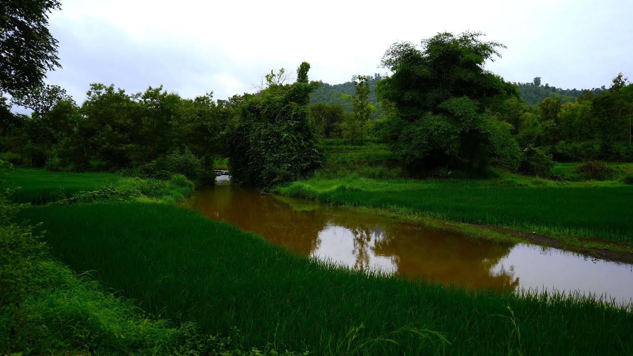 Vlog 13 - Walking at River Side - Nature - YouTube