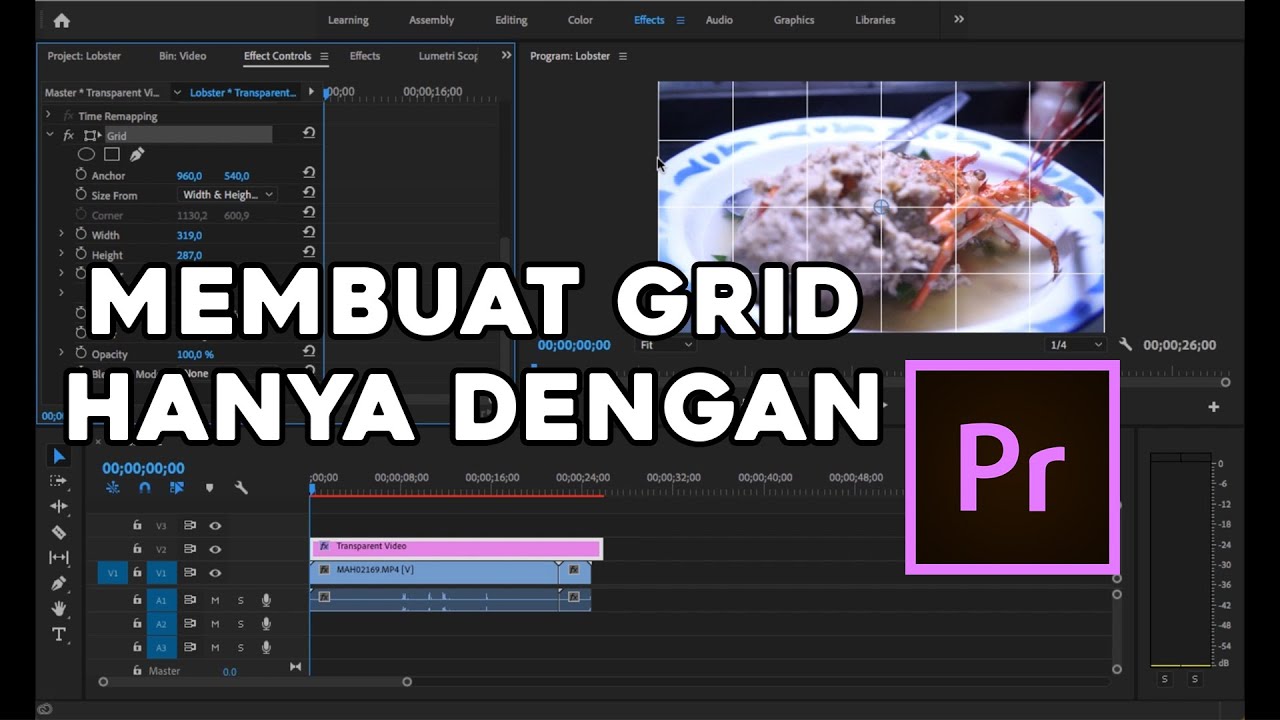 MEMBUAT GRID MUDAH LANGSUNG DARI ADOBE PREMIERE - YouTube