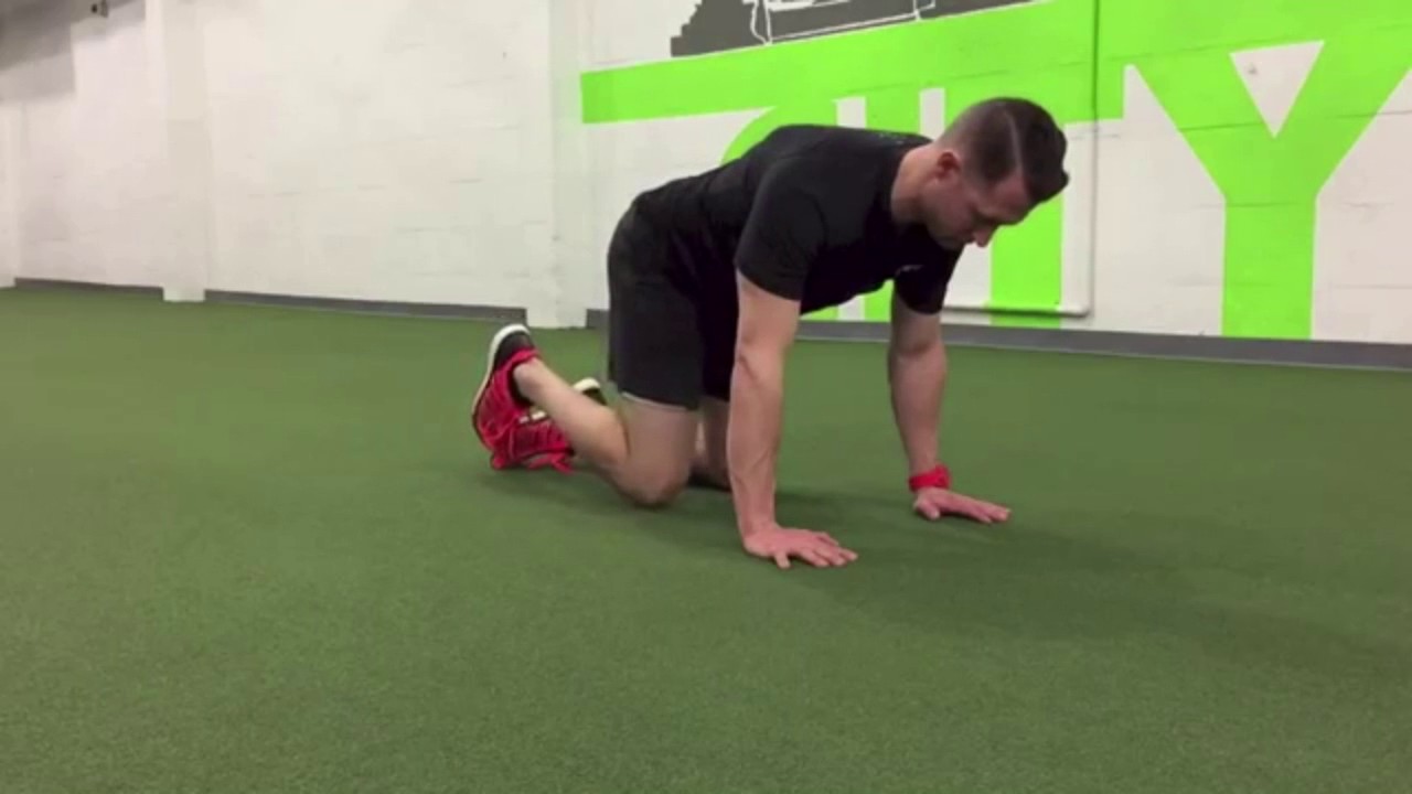 Quadruped Hip Abduction - YouTube
