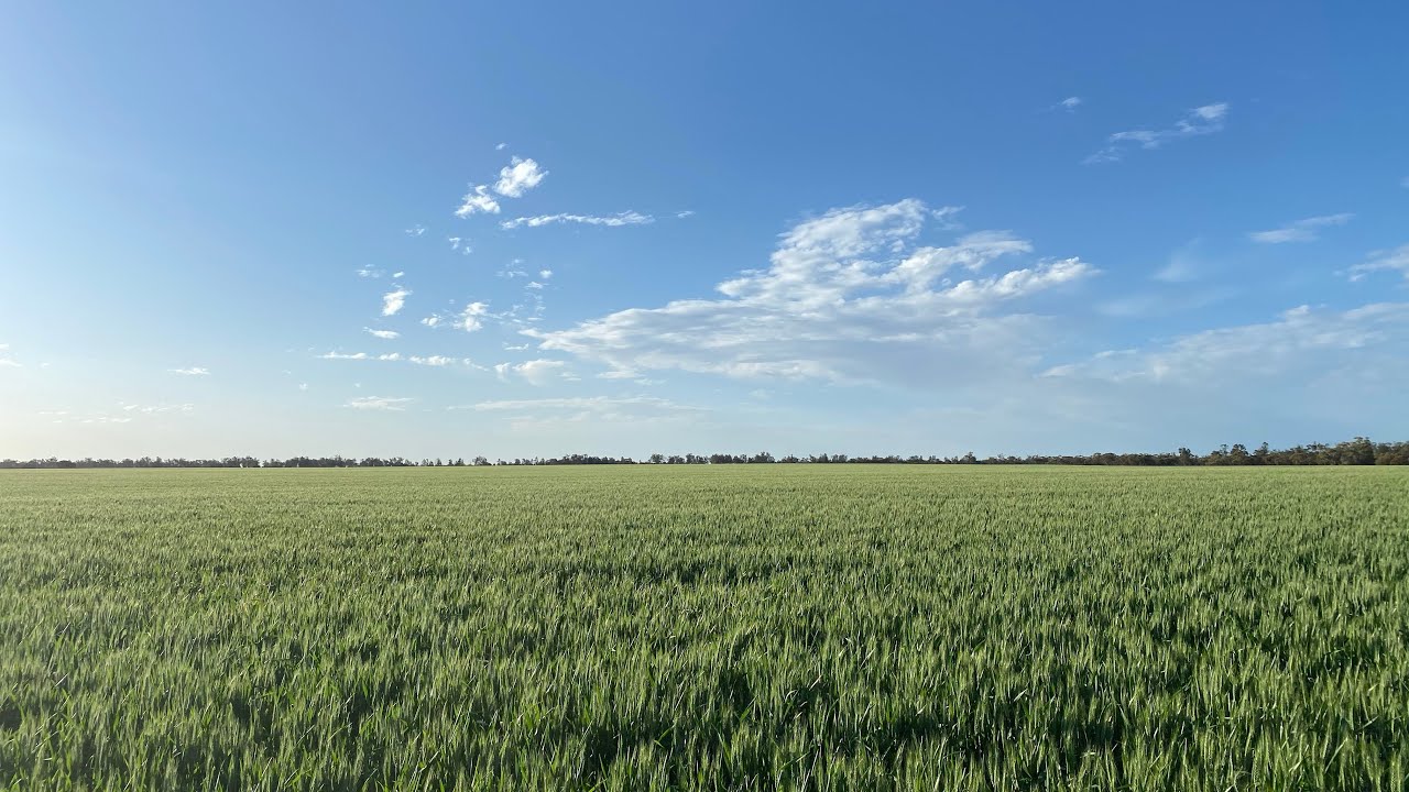 Mini crop tour - YouTube