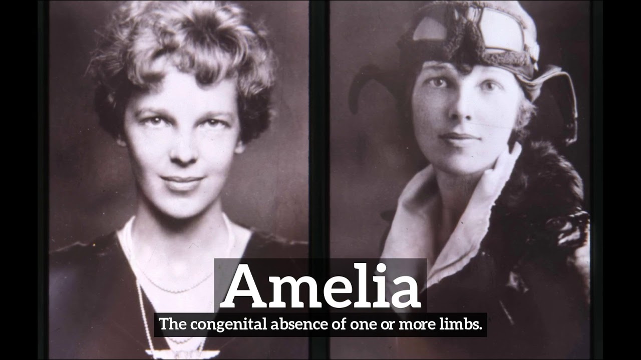 How to Say Amelia in English? | How Does Amelia Look? | What is Amelia ... How to Say Amelia in English? | How Does Amelia Look? | What is Amelia ...