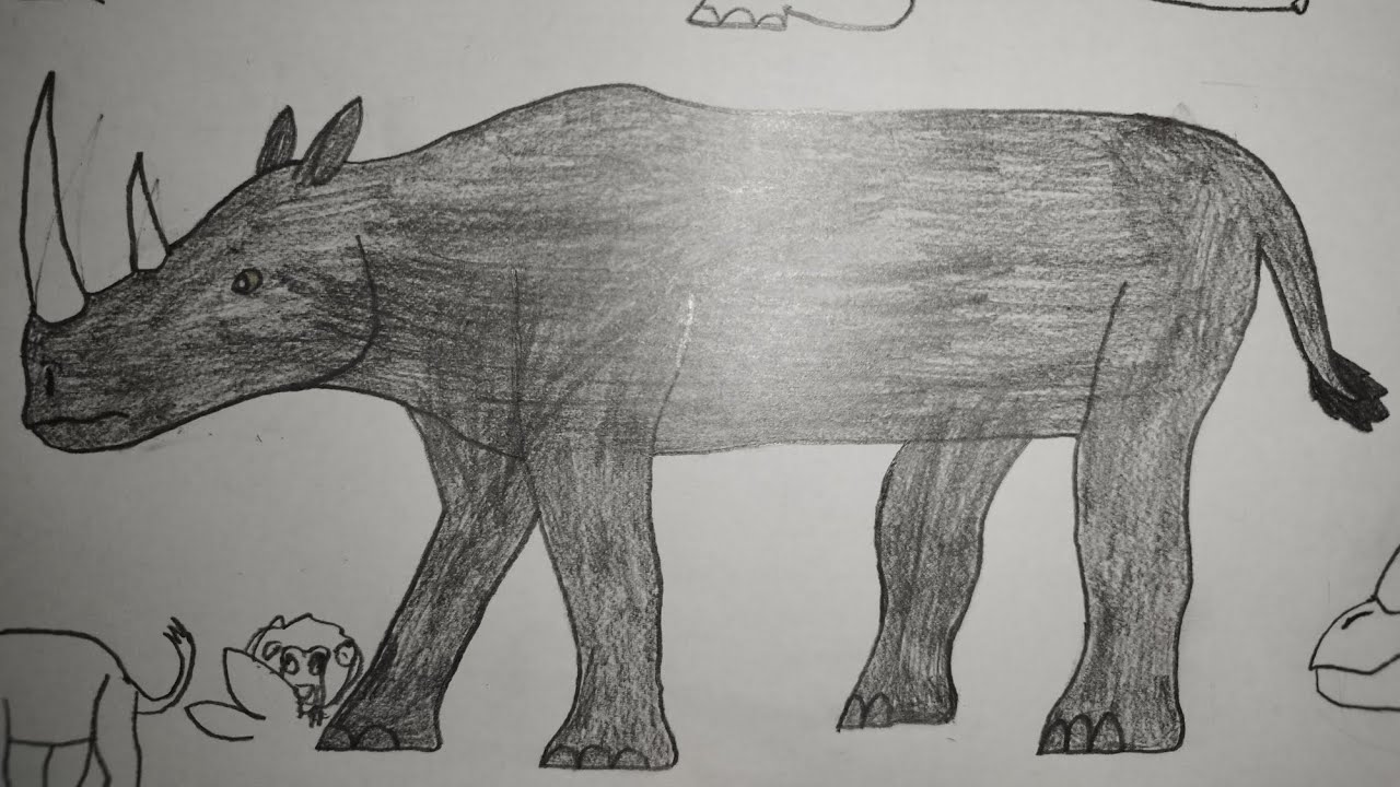 Sound Effects-Pygmy Rhinoceros - YouTube