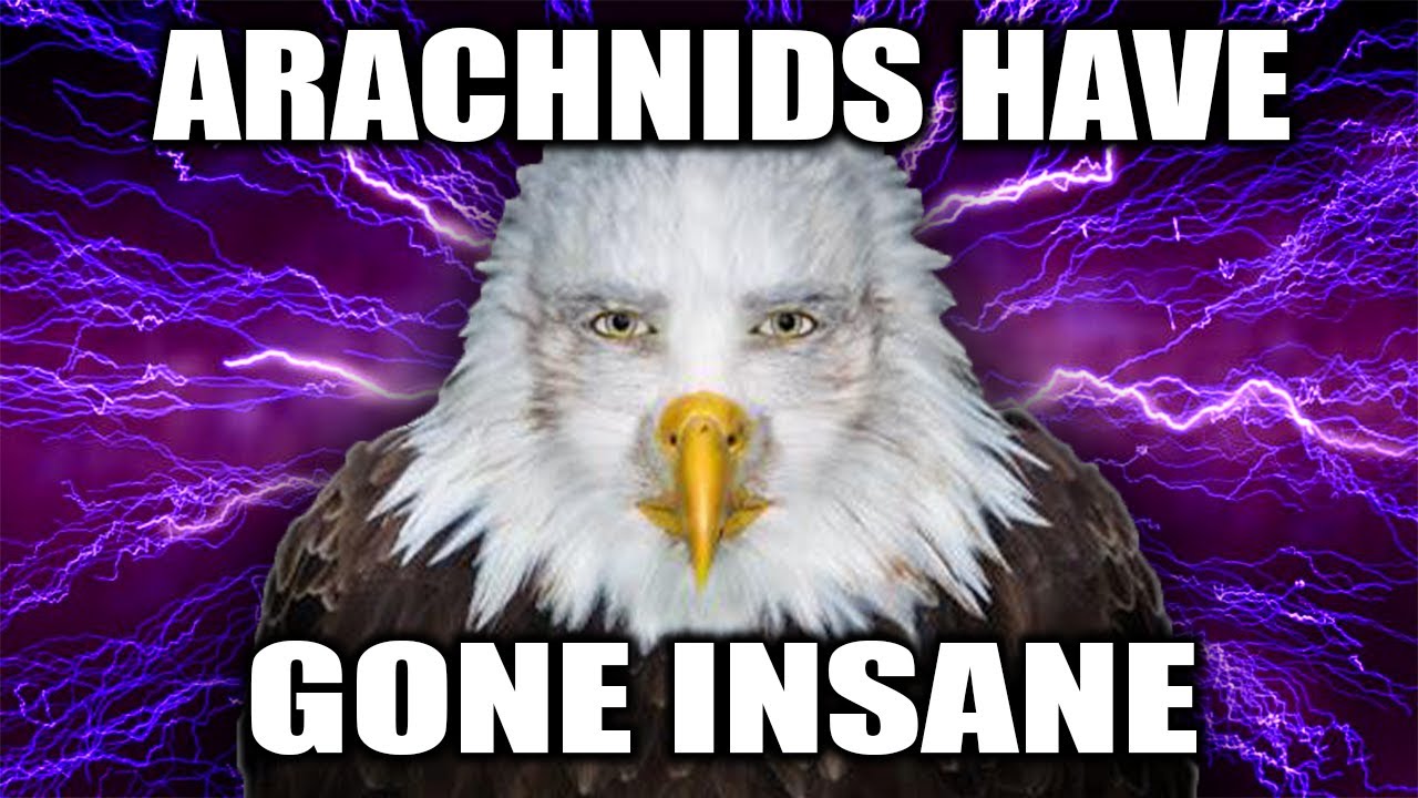 DEATH CRATE | Starship Troopers Extermination - YouTube