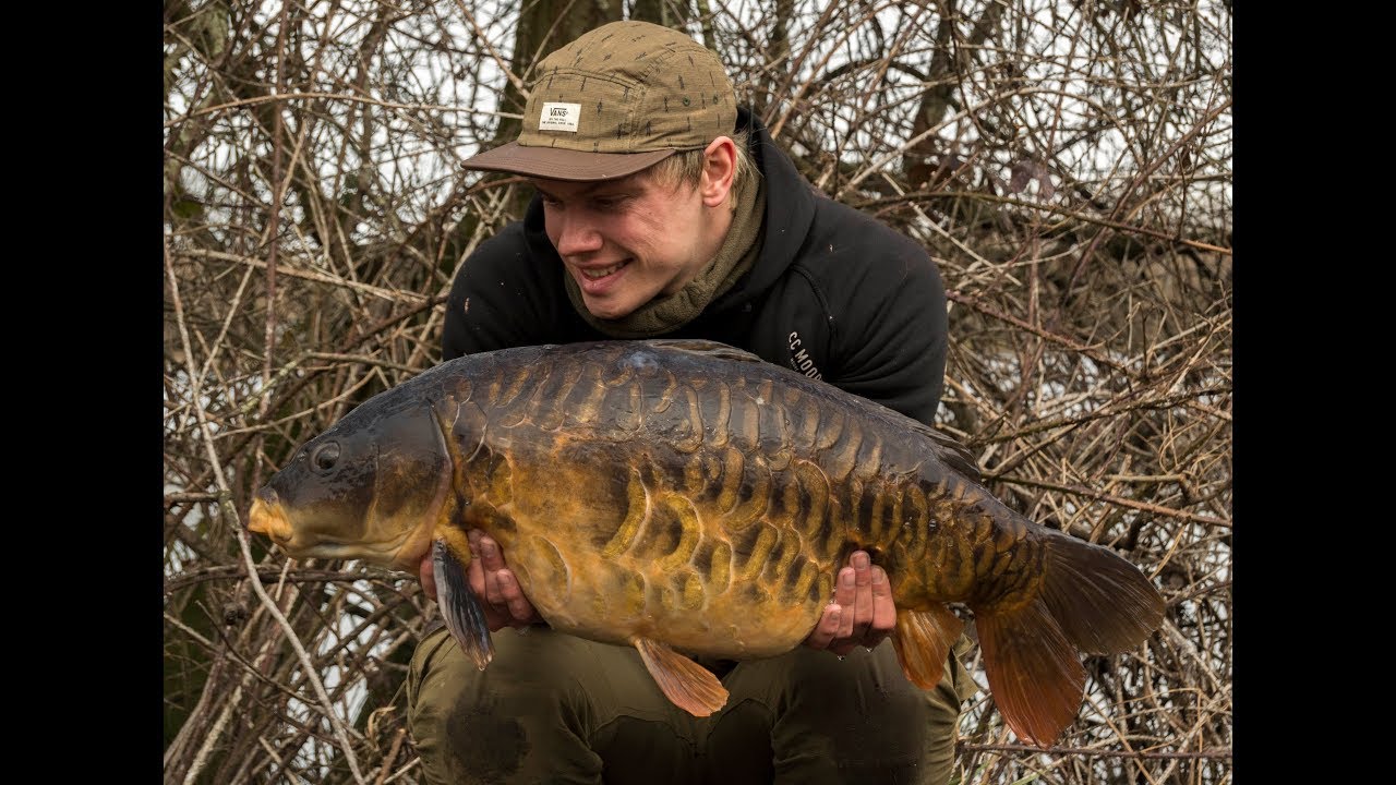 CARP FISHING: Farlows Lake - YouTube