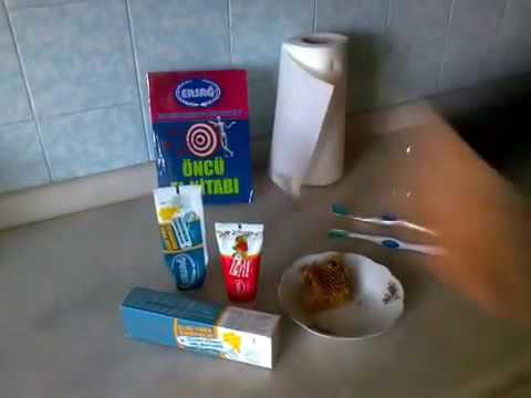 Ersağ Ürünleri