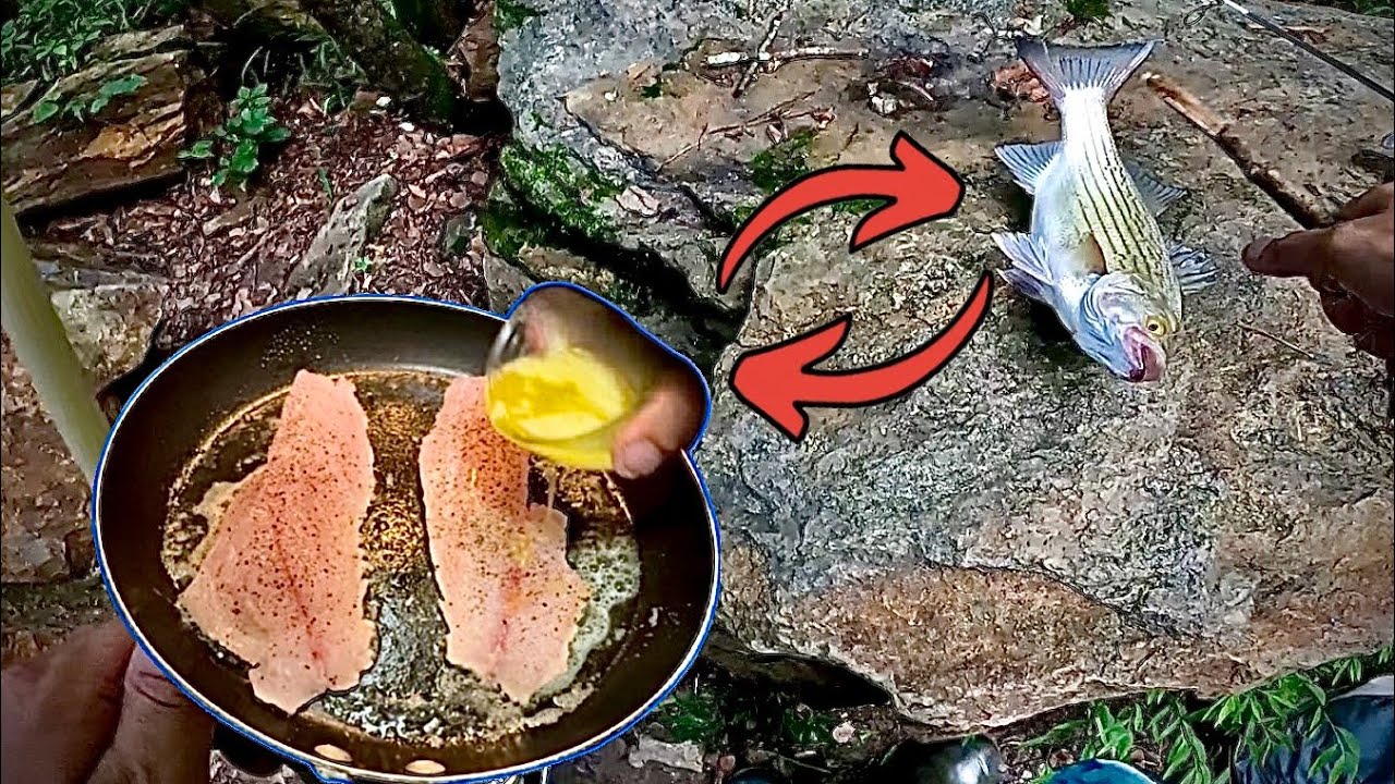 Hybrid Bass…Catch Clean Cook|River Fishing - YouTube
