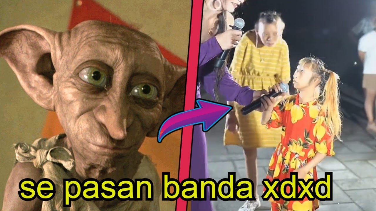 Que es el sindrome de dobby ? sera real ? - YouTube