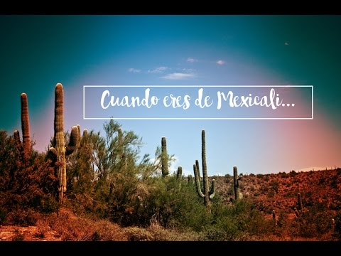 🌞 Cosas que hacen todos los cachanillas | 🌵 Mexicali, Baja California ...