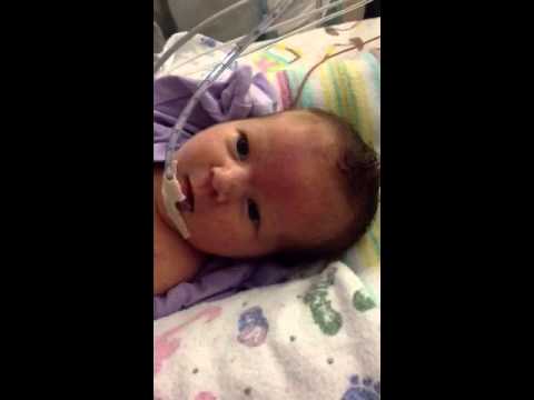 Eloise with Replogle - YouTube