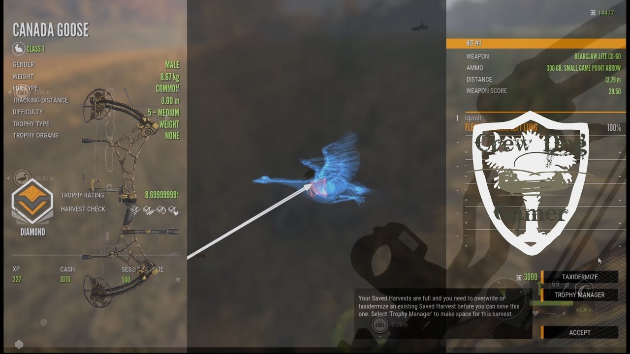 DIAMOND GOOSE WITH A BOW | theHunter COTW - YouTube