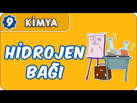 Hidrojen Bağı  | 9.Sınıf Kimya
