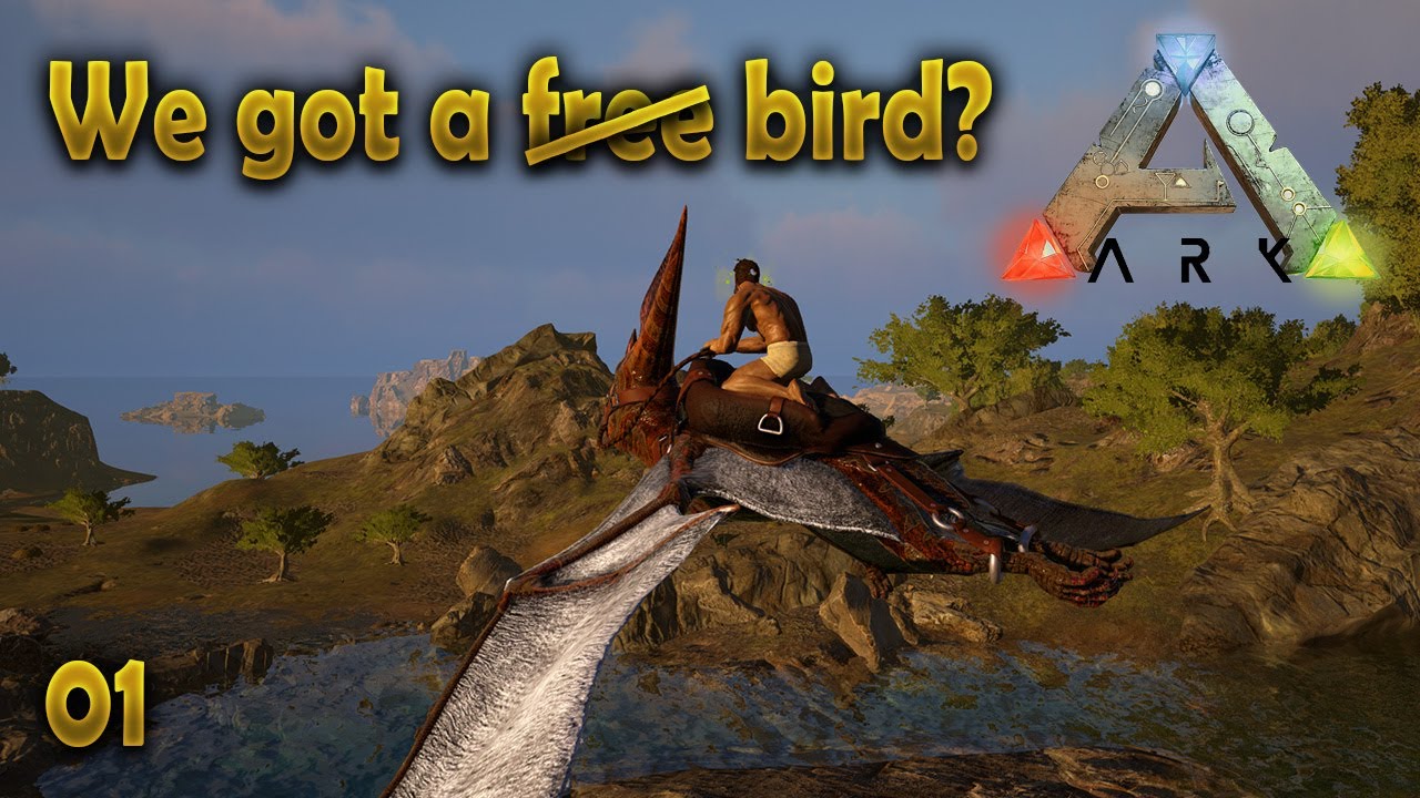 Ark Survival Evolved | We got a free bird - YouTube
