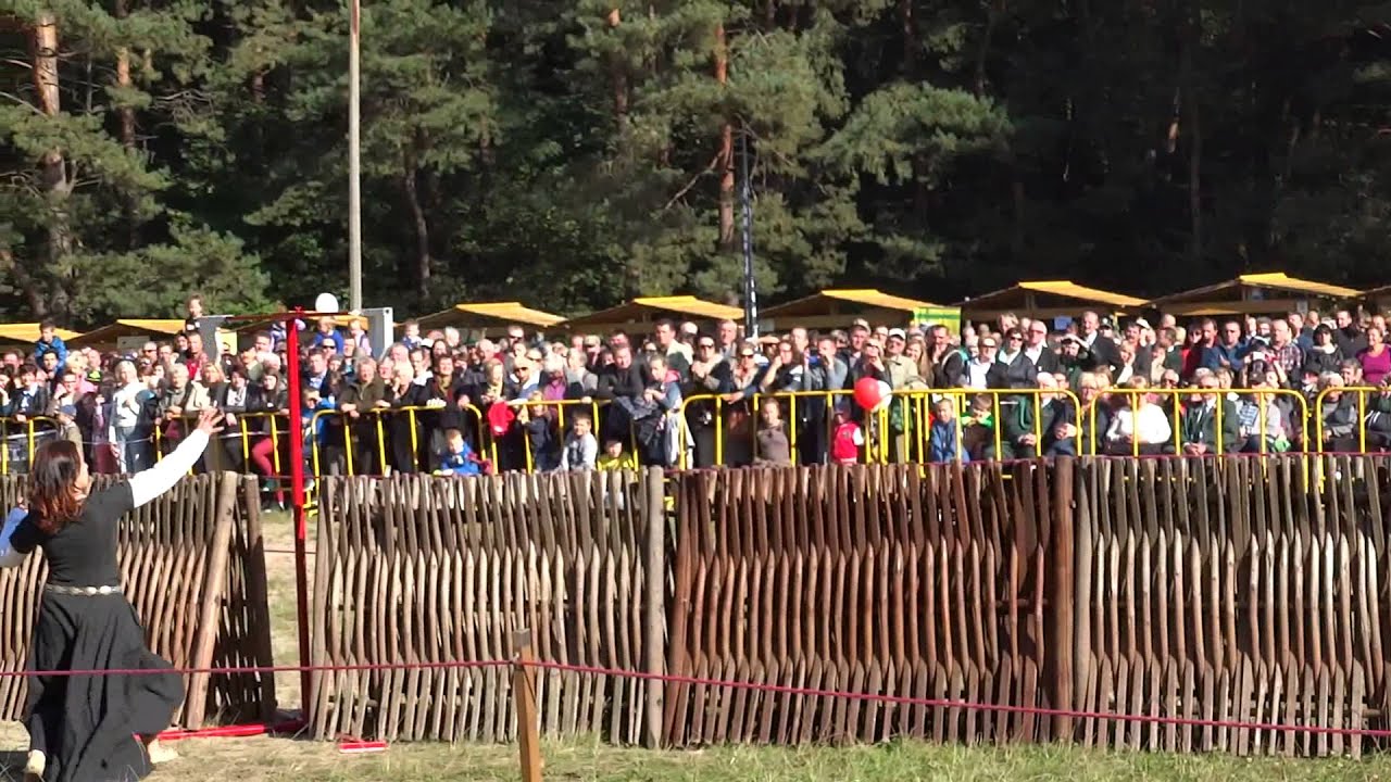 Polish Medieval Knight Heavy Cavalry and Templar Knights- Fights and ...