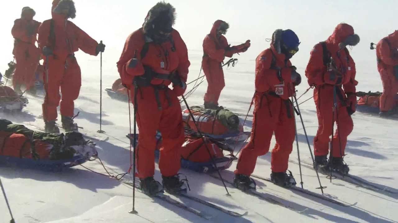 Experience Extreme Polar Conditions - From The Comfort Of Your Home ...
