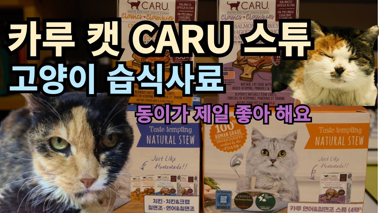 💖 카루캣 스튜 CARU CAT 고양이동이가 제일 좋아하는 습식사료 - YouTube