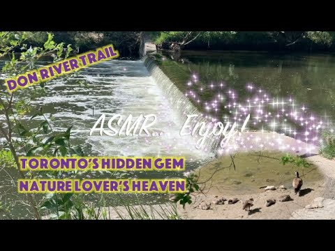 🇨🇦 WALK: ASMR... LOWER DON RIVER TRAIL NATURE LOVER'S HEAVEN TORONTO'S ...