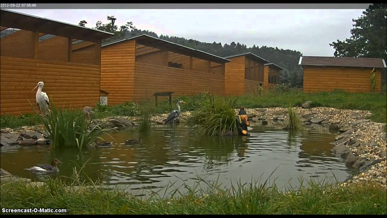 Záchranná stanice živočichů Makov, Czech Republik, 22 09 2012 7 02 ...