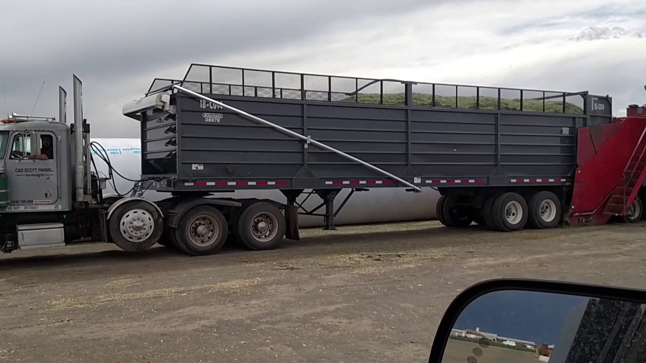 Aulchain Virgin run In Versa Bagger - YouTube