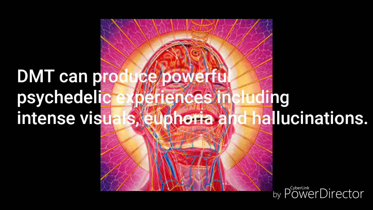 Science behind DMT and it's Effects. - YouTube