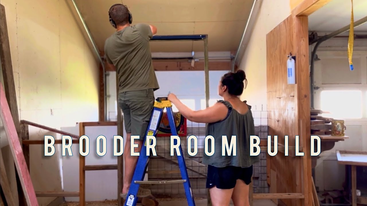 Chicken Brooder Room Setup! 🐥 Raising Chicks Indoors! - YouTube